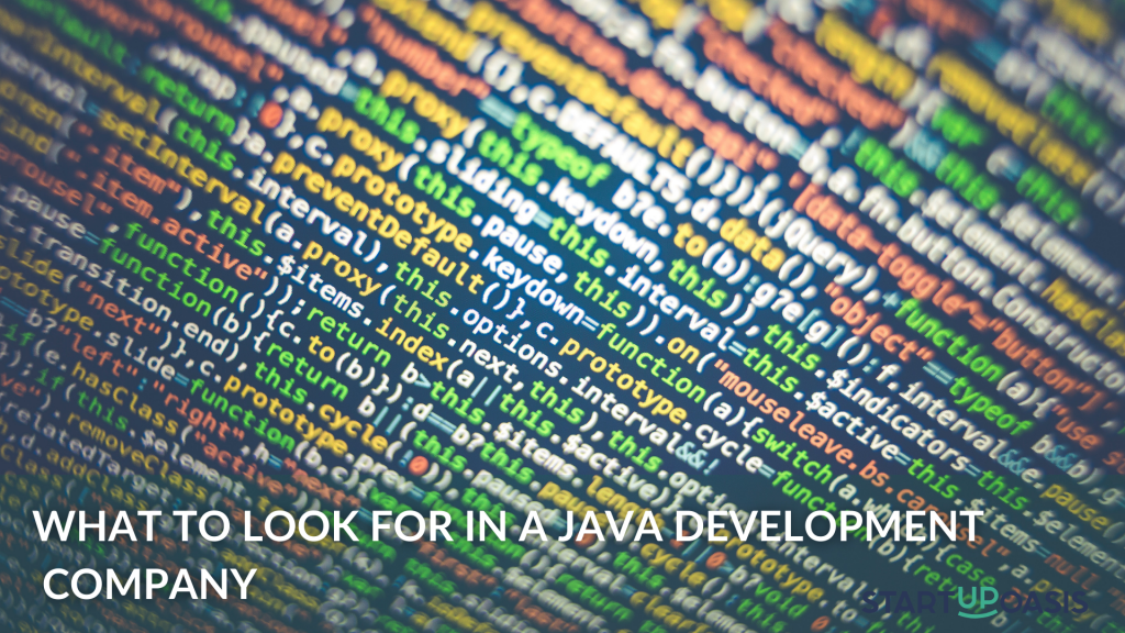 What To Look For In A Java Development Company - Startup Oasis
